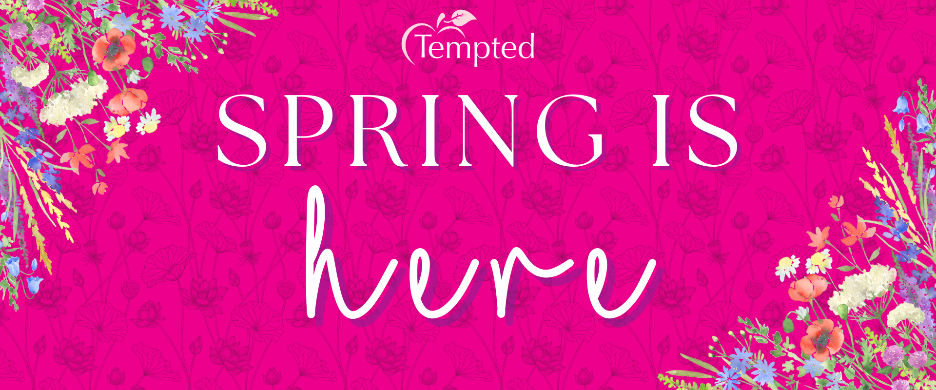 Tempted Ladies Plus Size Clothing Store in Raheny Dublin Ireland