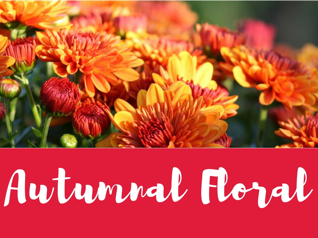 Home Plus Size Ladies Clothing from Tempted Raheny Dublin Ireland